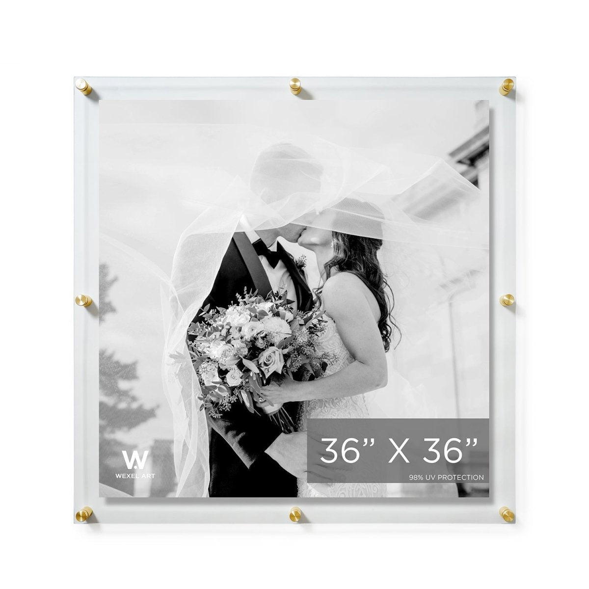 Custom Acrylic Frames - Liza Pruitt