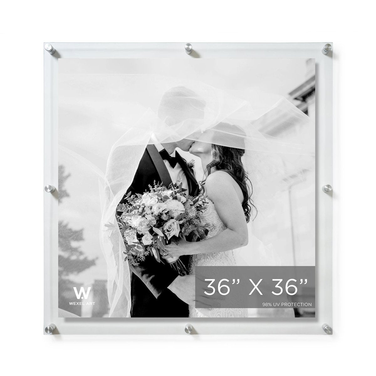 36x36" Modern UV-Grade Acrylic Floating Wall Frame - Silver - Liza Pruitt