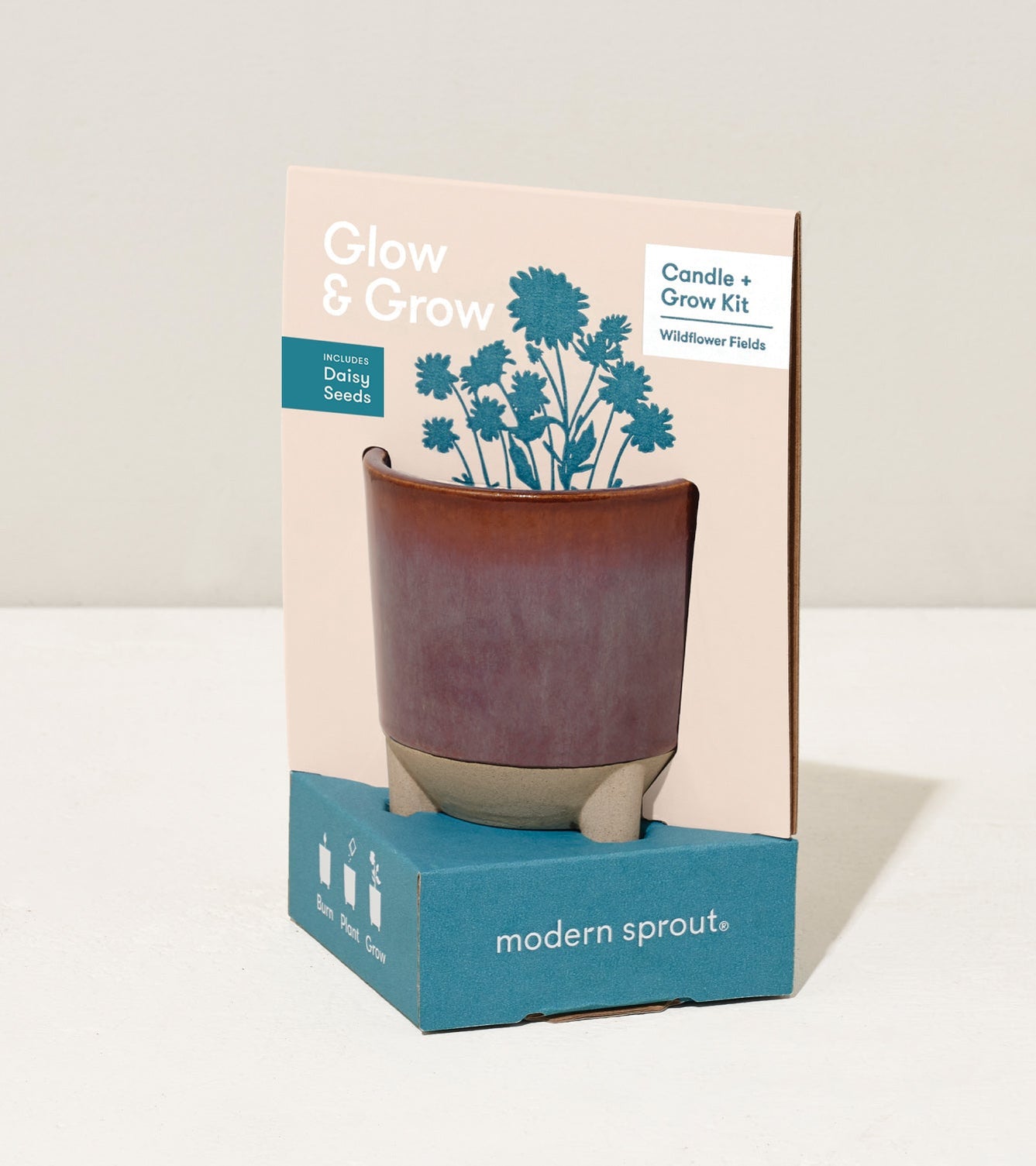 Glow & Grow Kits - Glow and Grow - Herb Garden - Liza Pruitt