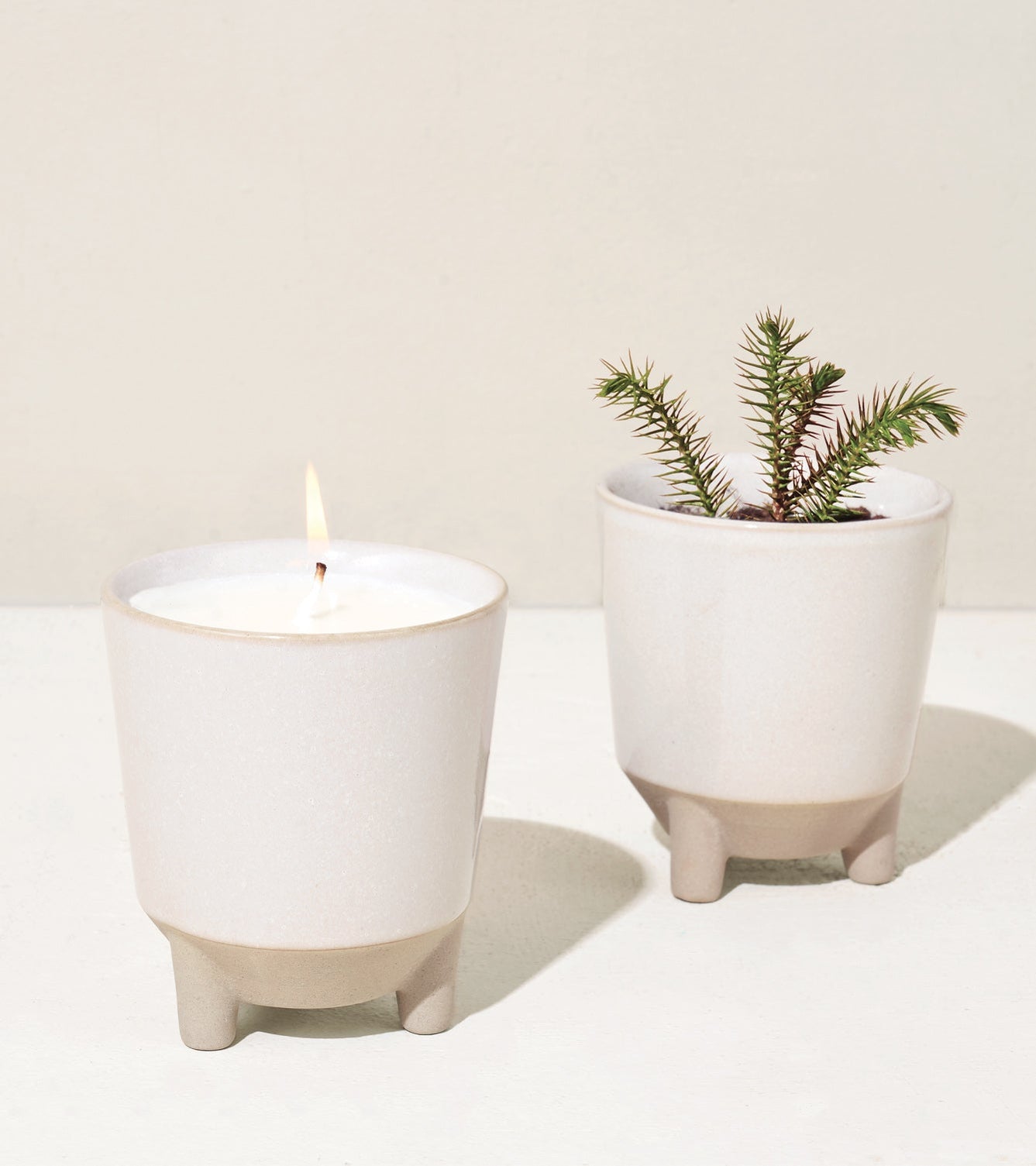 Glow & Grow Kits– Liza Pruitt