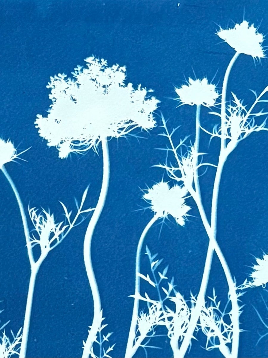 Queen Anne's Lace Garden | 24" h x 18" w– Liza Pruitt