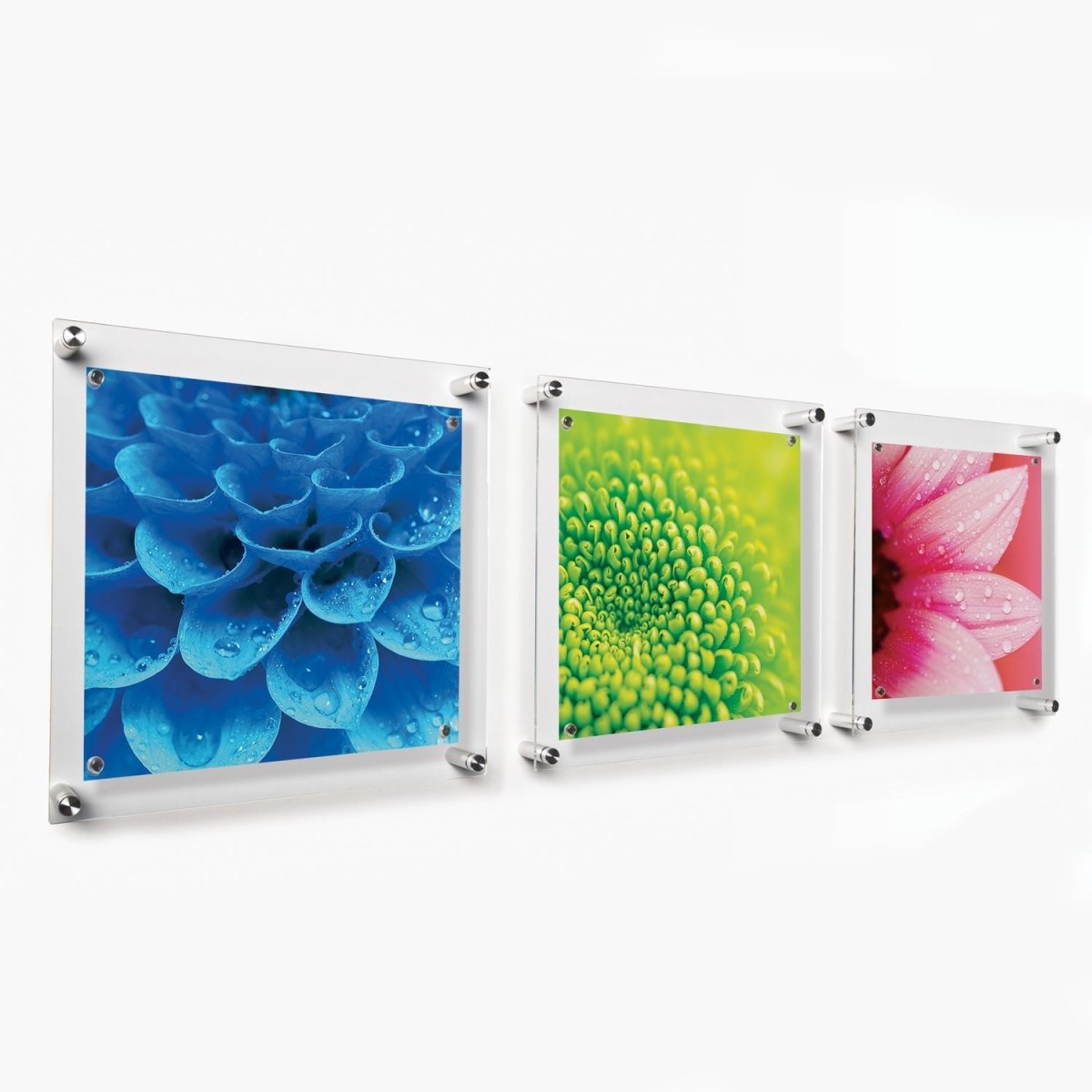 Custom Acrylic Frames– Liza Pruitt